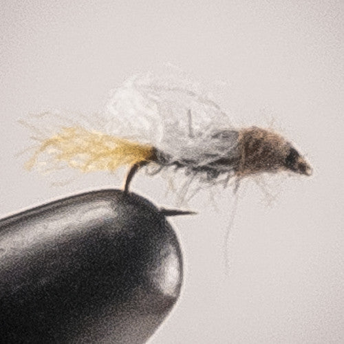 Iris Micro Caddis Black #18 – Fly Fisher's Place